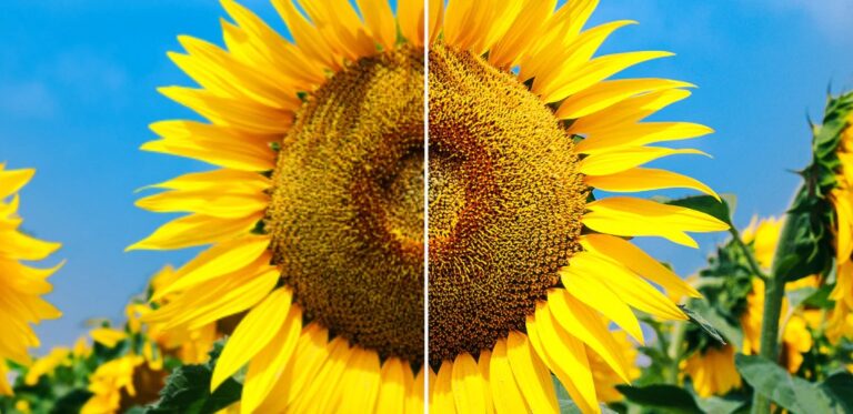 O que é o Upscaling? E como ele funciona na prática?